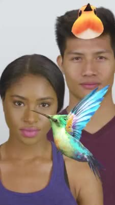 bird | Search Snapchat Creators, Filters and Lenses